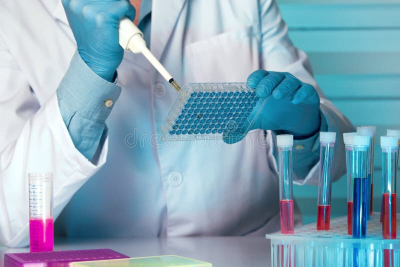 Forscher, Der Proben in Den Microplates Im Labor Pipettiert Stockbild ...