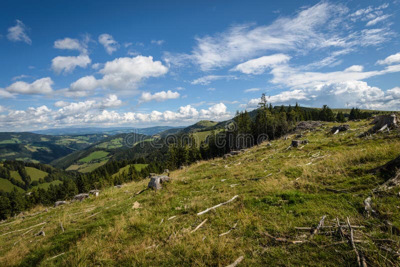 Forest stock image. Image of carbon, austria, clear, logging - 46068817