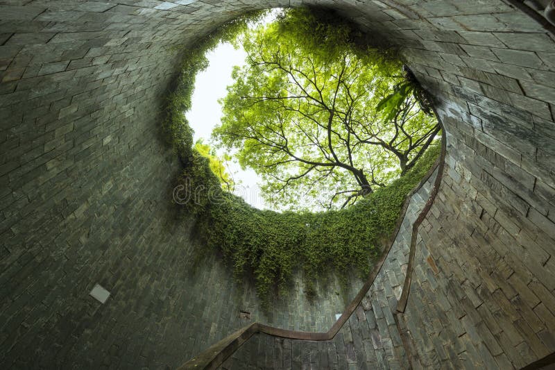 Fort Canning Tree Tunnel in Singapore Stock Image - Image of walk ...