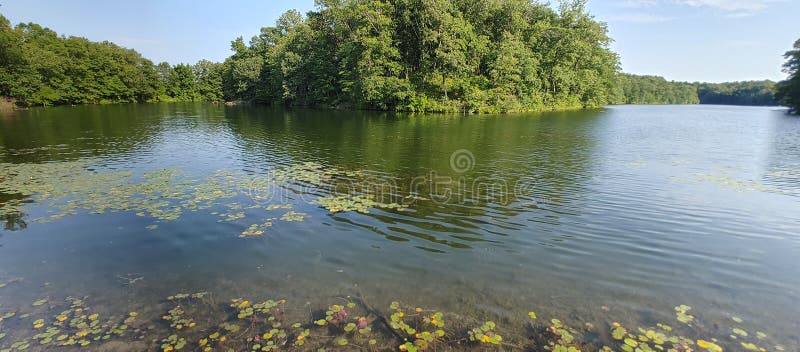 Fort Custer State Park stock image. Image of tree, state - 218574891