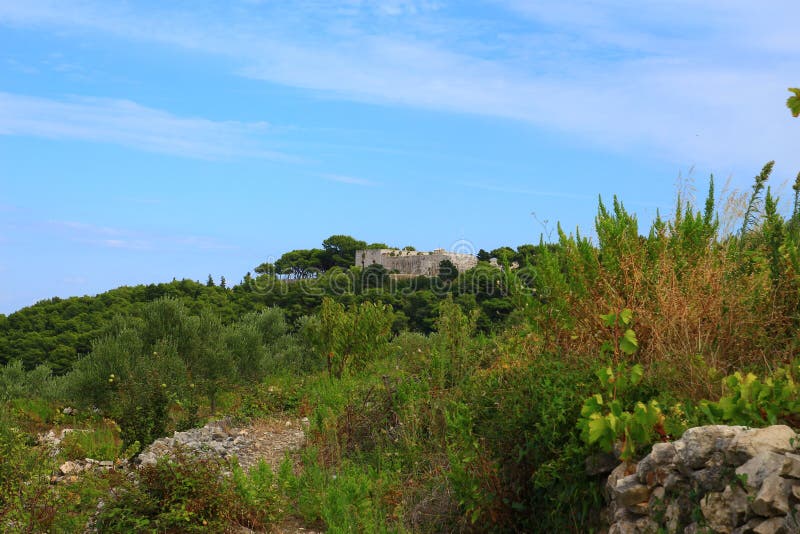 Fort George on VIS stock image. Image of coast, george - 255983149