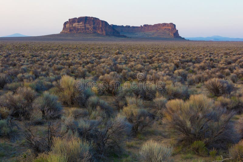 Fort Rock stock photo. Image of brush, states, crater - 53455674