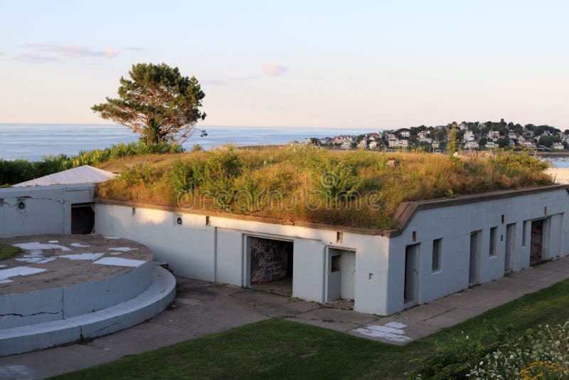 Verehren Sie Natur in Tiaret Stadt Algerien Stockfoto - Bild von blüte ...
