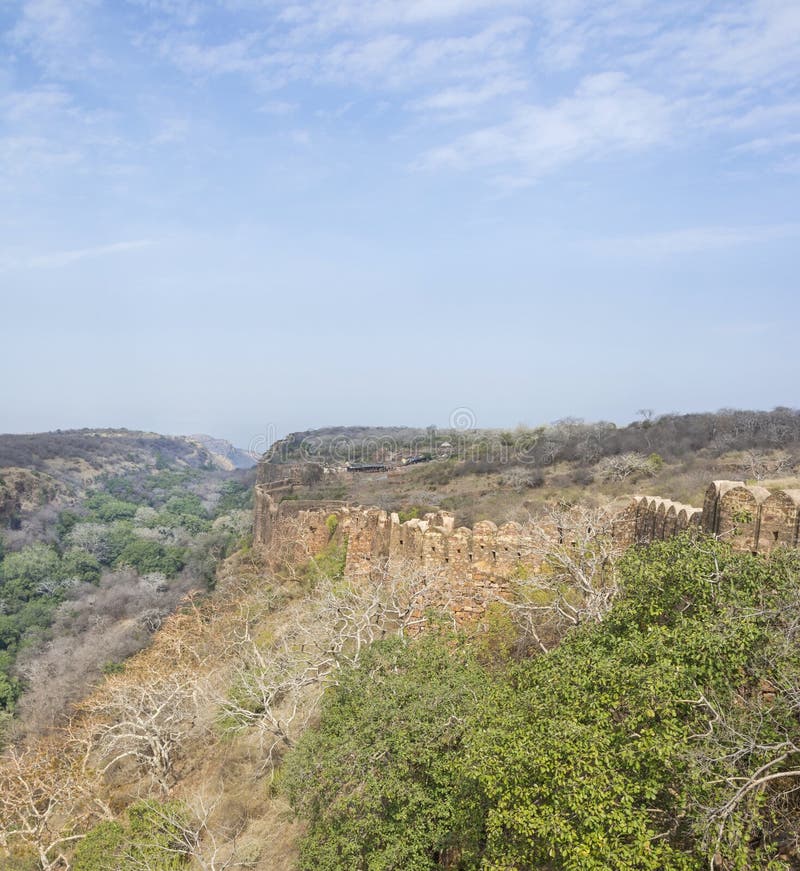 Fort wall in the forest stock image. Image of nature - 42563347