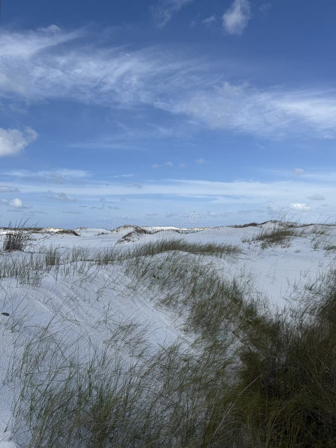 Fort Walton Beach Florida White Sand Dunes Stock Photo - Image of beach ...