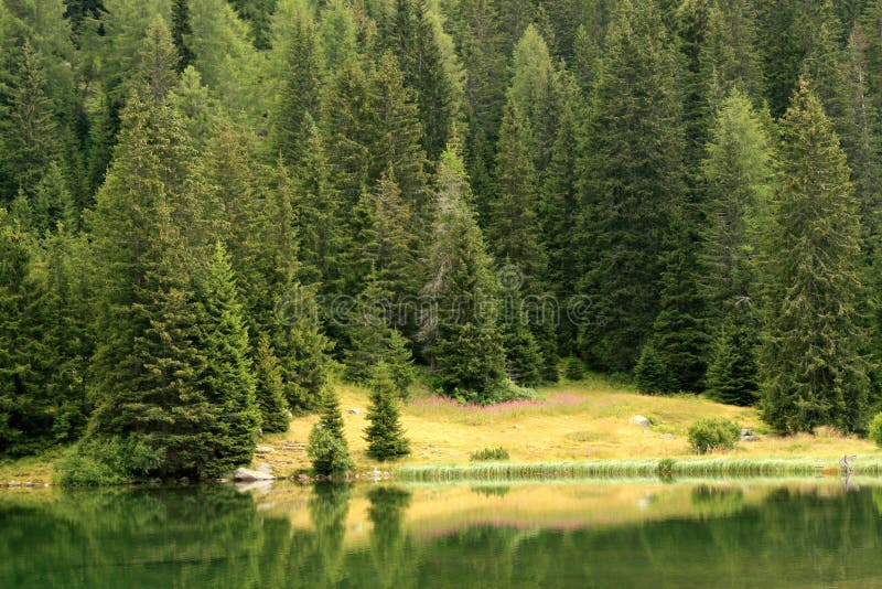 Fortest Distance Stock Photos - Free & Royalty-Free Stock Photos from ...