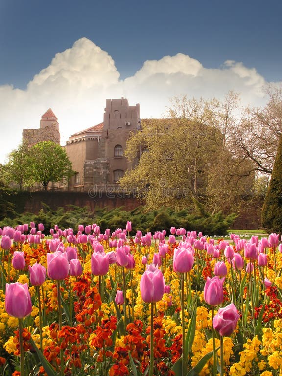 Fortress and Tulips stock image. Image of scenic, knight - 2210959