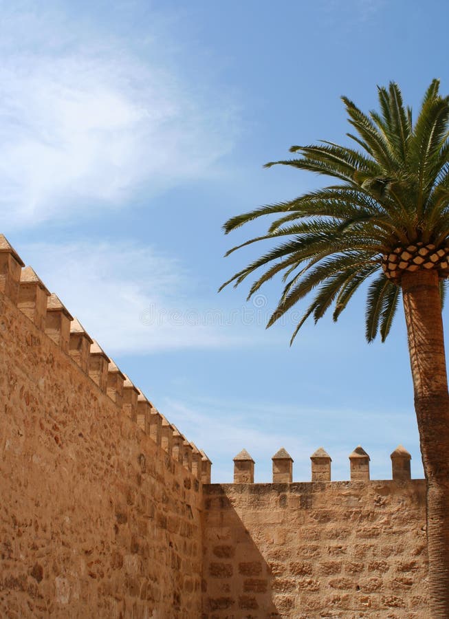 Fortress Wall stock photo. Image of defender, plant, historically - 165818