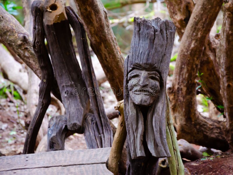 Fortune Face Branches in the Woods Stock Image - Image of floral ...