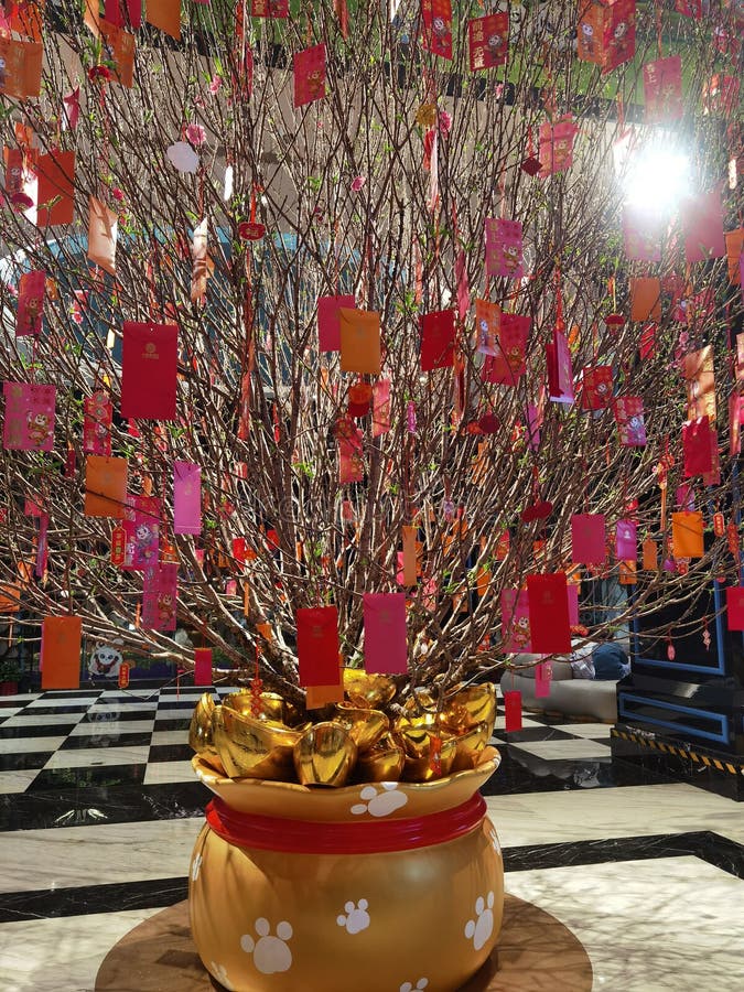 Fortune Tree with Red Envelope Stock Image - Image of tree, celebrating ...