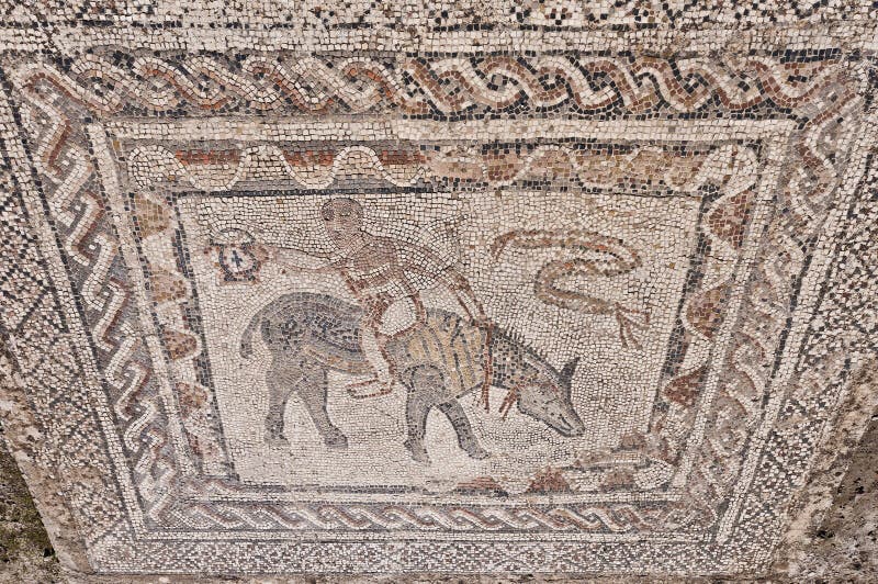 Ancient Roman Dolphin Mosaic at Volubilis Stock Image - Image of ...