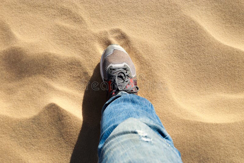 Forward stock image. Image of aquatic, relaxation, nature - 71623345