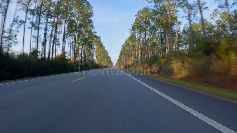 Forward Facing Driving Plate through Pine Tree Lined Highway Stock ...