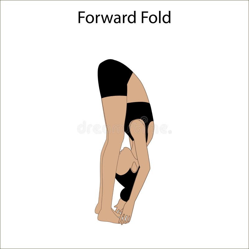 Forward Fold Pose Yoga Workout Outline. Healthy Lifestyle Vector ...