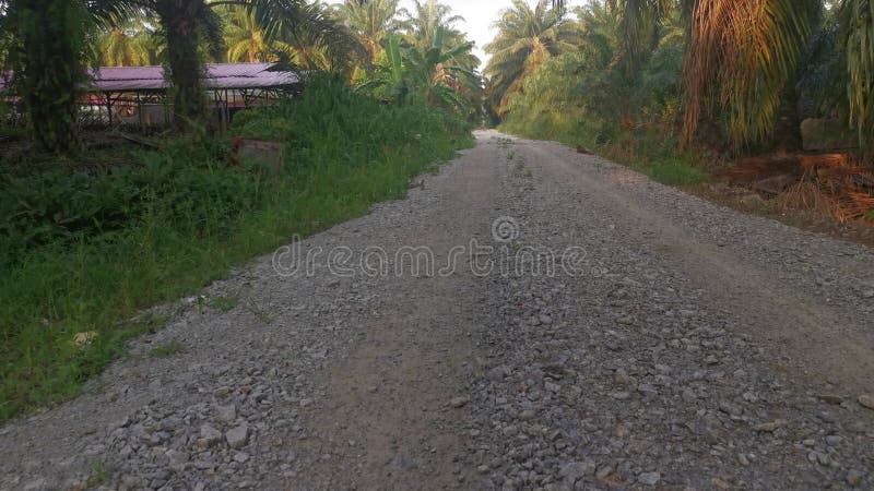 Forward Motion Movement in the Rural Countryside Road Pathway. Stock ...