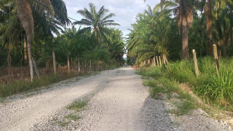 Forward Motion Movement in the Rural Countryside Road Pathway. Stock ...