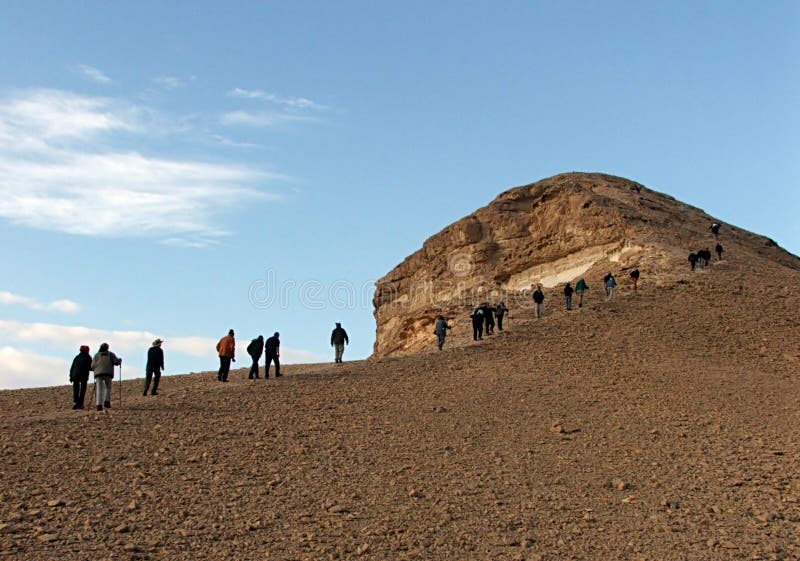Himalaya Yak - Nepal stock photo. Image of stones, sherpas - 2545472