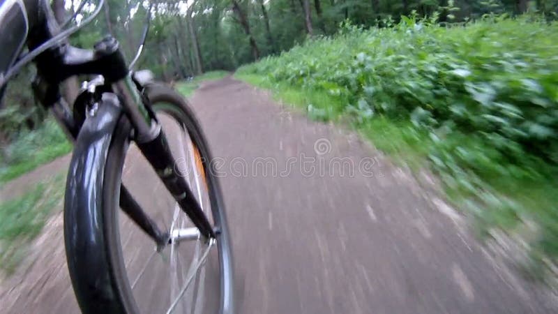 Forward Wheel of Bicycle Moves on Pathway in Stock Video - Video of ...