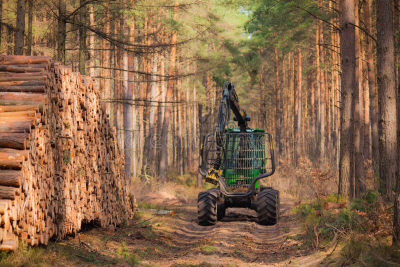 Forestry Forwarder is Cleaning Up a Huge Harvested Forest Area - Aerial ...