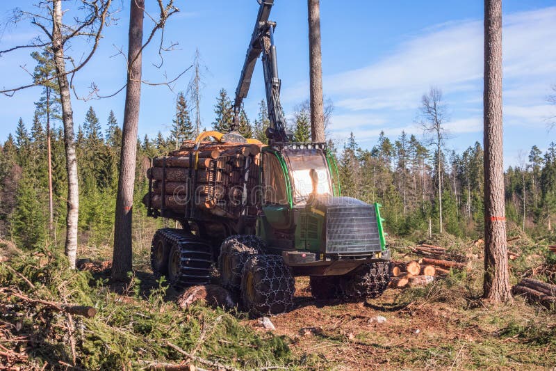 Forwarder on a Clearcut in the Forest Editorial Stock Photo - Image of ...