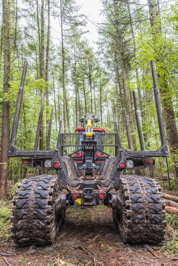 Forwarder in a forest stock image. Image of tree, transport - 106383713