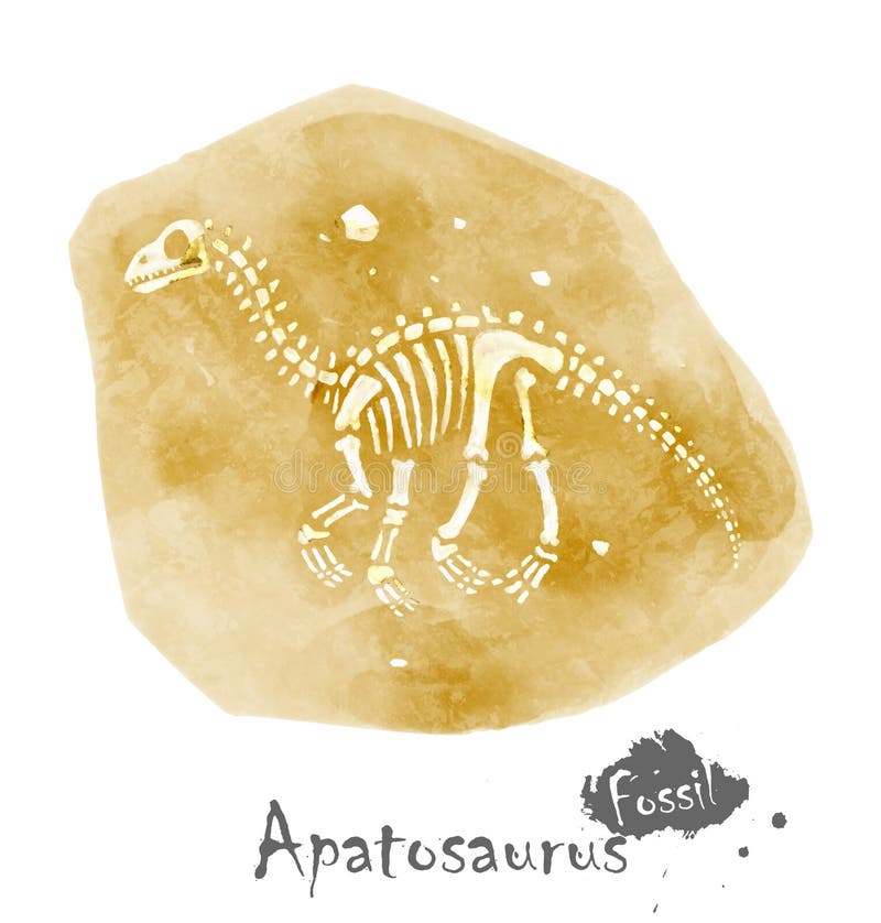 Fossil of Apatosaurus Dinosaur in Rock . Watercolor Paint Design Stock ...