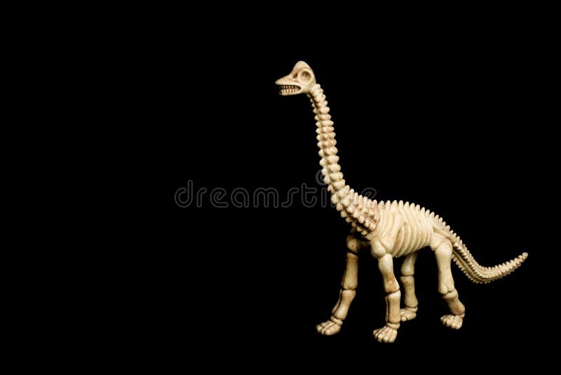 Brontosaurus Sculpture Stock Photos - Free & Royalty-Free Stock Photos ...