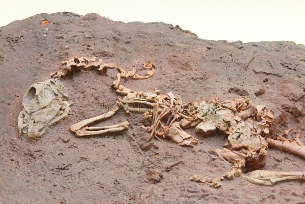 Yulong Mini stock image. Image of nature, body, archeology - 36639965