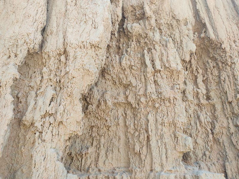 Fossil Formation Due To Soil Erosion Stock Image - Image of tree, wall ...