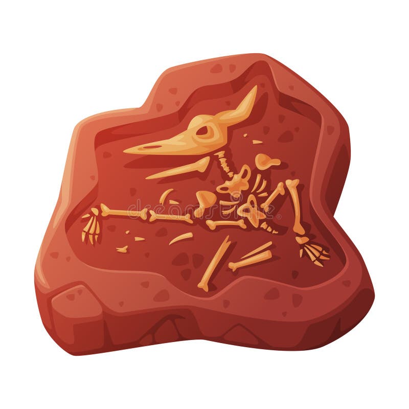 Fossil Obtained by Digging Rested in Soil or Ground Vector Illustration ...