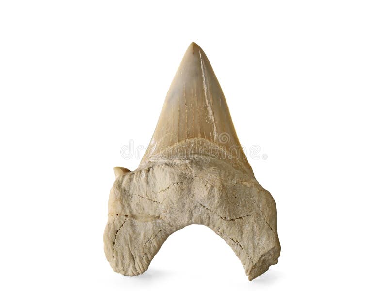 Bourlette Stock Photos - Free & Royalty-Free Stock Photos from Dreamstime