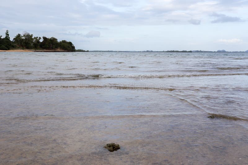 Fossil Shell Beach stock photo. Image of andaman, coast - 50203814
