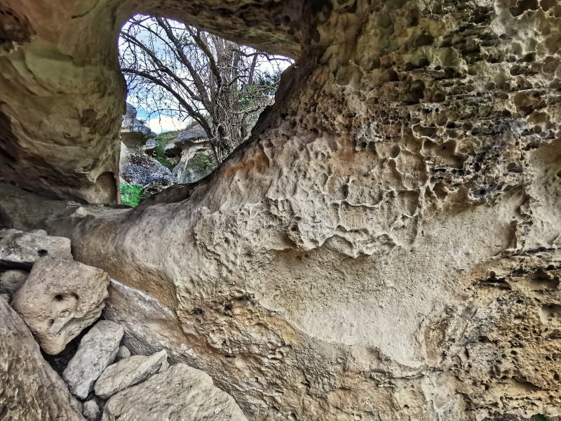 Fossil Structure Protruding at the Sandstone Arch Column Stock Image ...