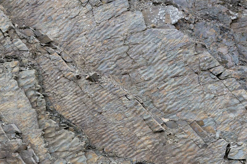 Fossilized Ripple Marks in a Cliff Stock Photo - Image of stonehammer ...