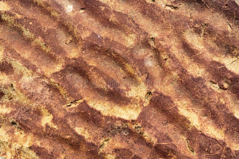 Fossil Wave Ripples Stock Photos - Free & Royalty-Free Stock Photos ...