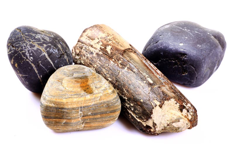 Fossill and rocks stock photo. Image of rock, fossilised - 20604552