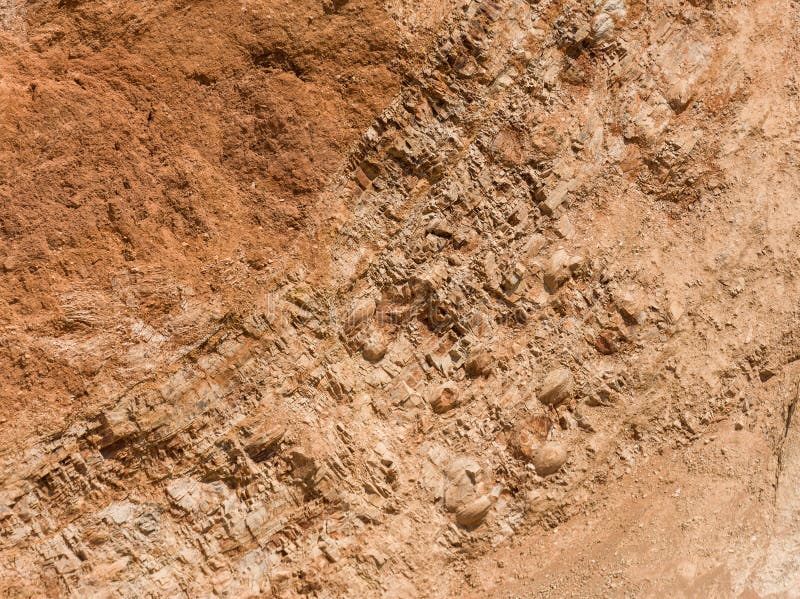 Fossils in the Andes of Huancayo, Peru Stock Image - Image of ...