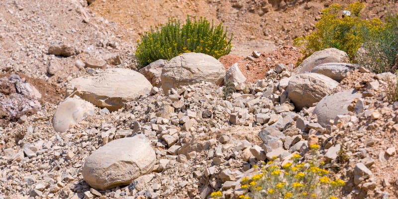 Fossils in the Andes of Huancayo, Peru Stock Image - Image of ecosystem ...