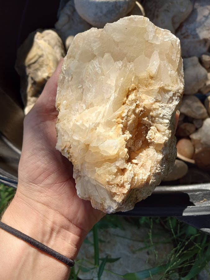 Fossils or geodes stock image. Image of invertebrate - 257309601