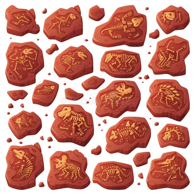 Fossils Obtained by Digging Rested in Soil or Ground Vector Set Stock ...