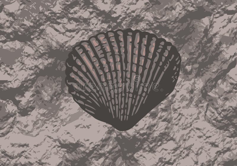 Fossils stock vector. Illustration of geological, mineral - 91020348