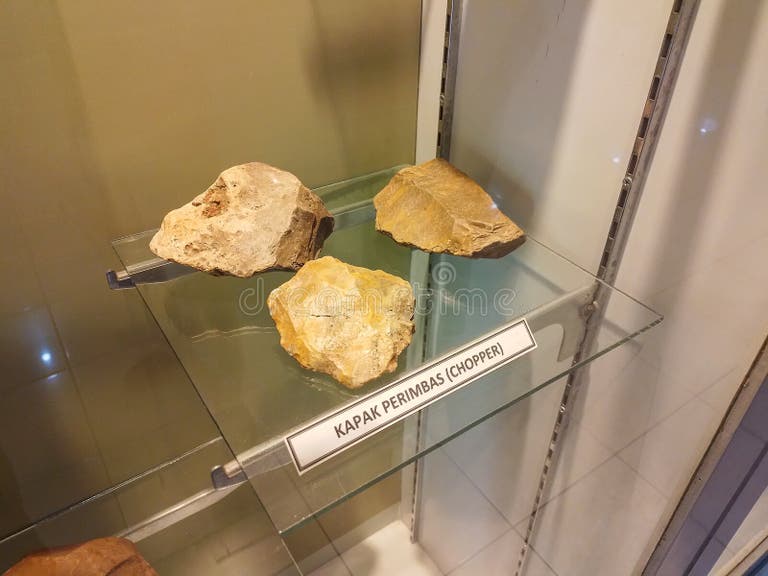Fossils of Stone Tools Used by Ancient Humans in the Sangiran Museum ...
