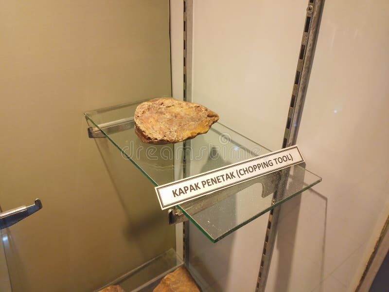Fossils of Stone Tools Used by Ancient Humans in the Sangiran Museum ...