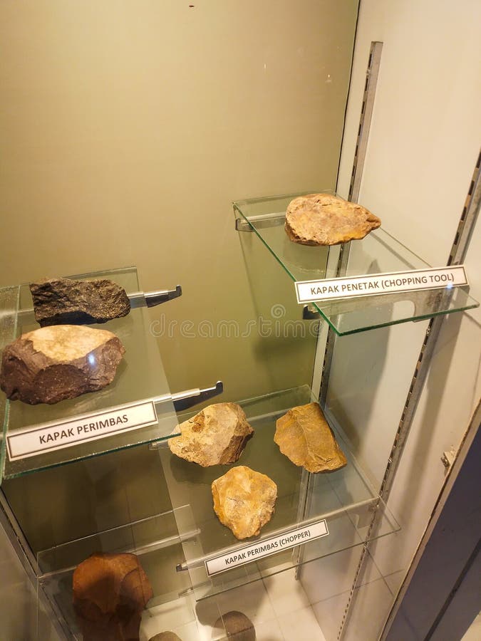 Fossils of Stone Tools Used by Ancient Humans in the Sangiran Museum ...