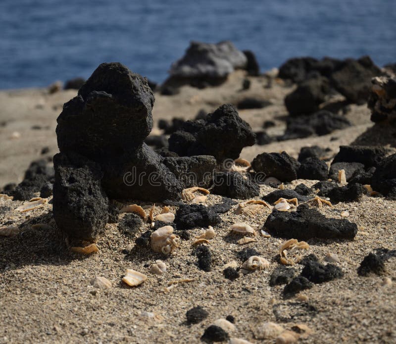 Fossils between Stones and Sand Stock Image - Image of shells, seashore ...
