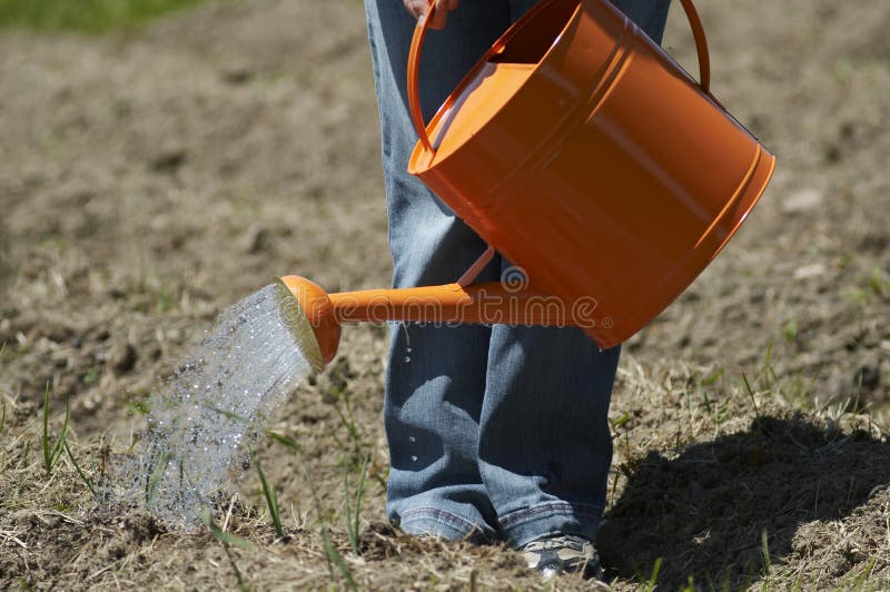 Foto Común De Un Jardín Que Es Regado Imagen de archivo - Imagen de ...
