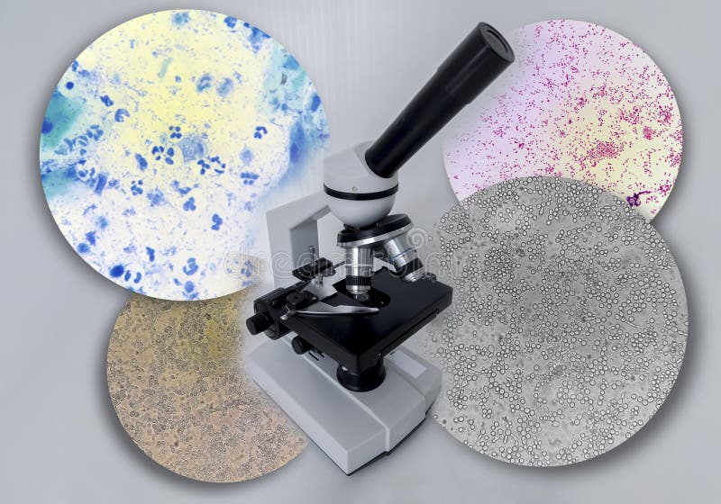Foto De Um Microsc?pio Com Imagens De Um Microsc?pio Em Um Fundo Foto de Stock - Imagem de ...
