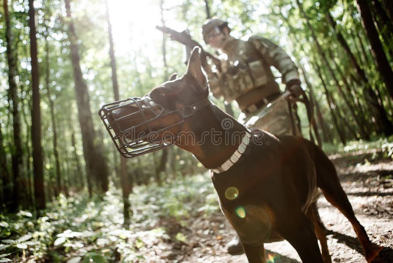 Foto Del Militar Con El Perro Imagen de archivo - Imagen de militar ...