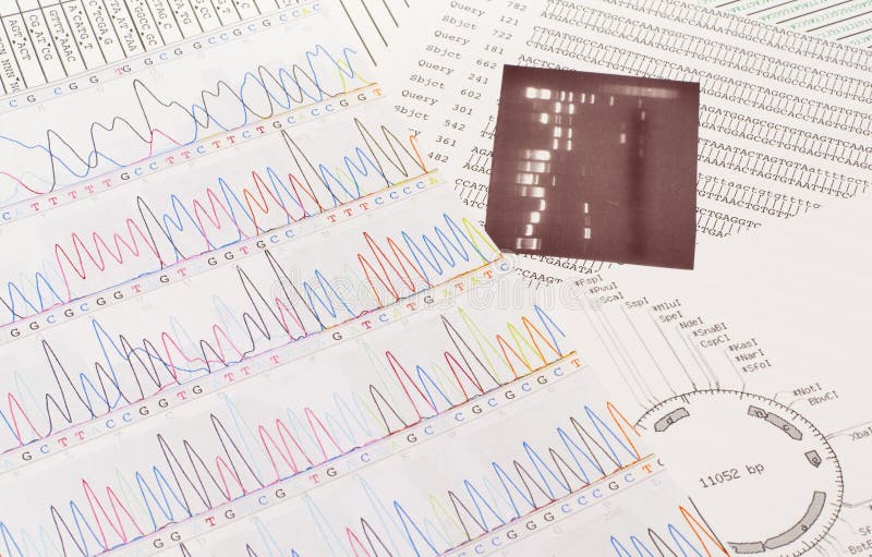 Sequenza E Struttura Del DNA Umano. Immagine Stock - Immagine di ...