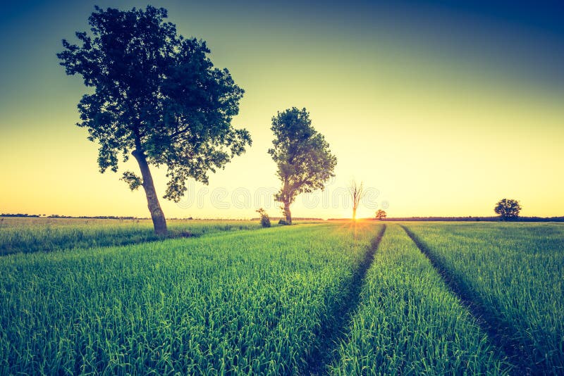 Foto Do Vintage Do Campo Arado No Campo Calmo Foto de Stock - Imagem de ...